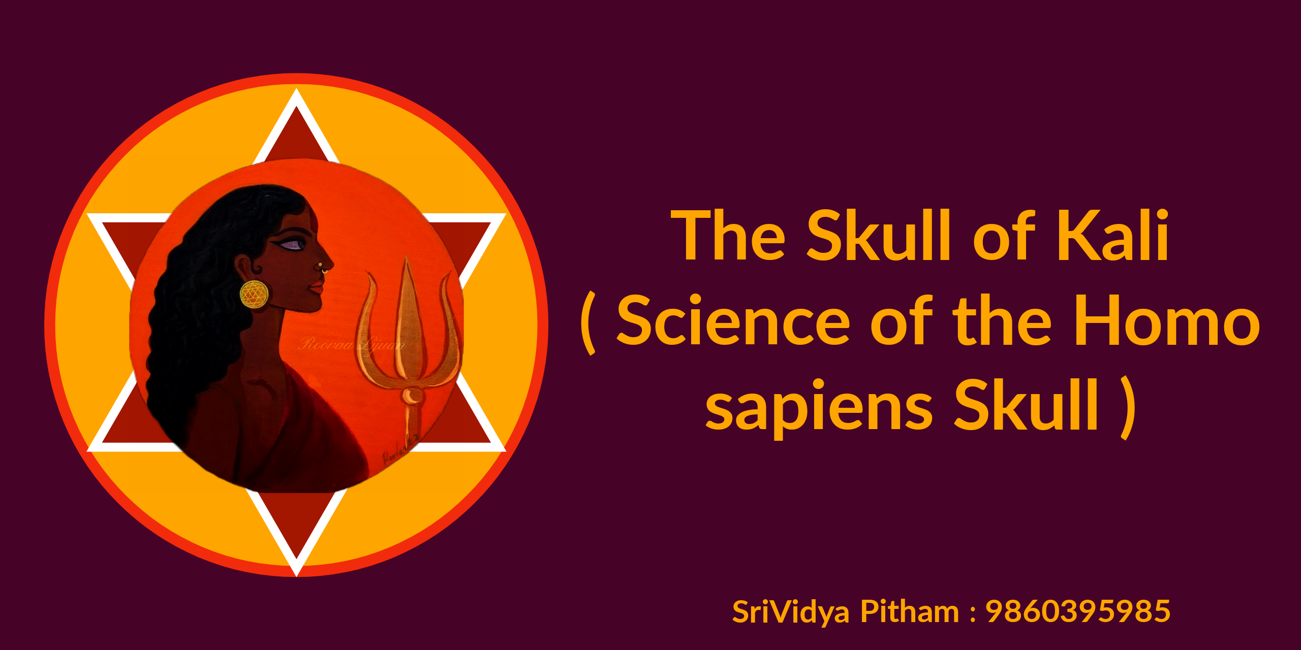 The Skull of Kali ( Science of the Homo sapiens Skull ) -